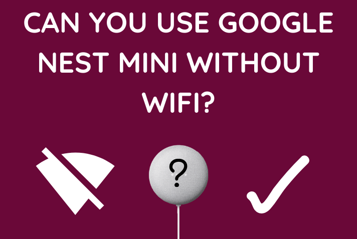 Can You Use Google Nest Mini Without WiFi BlinqBlinq