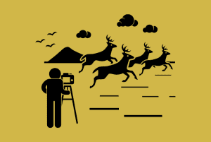 Stealth Cam Troubleshooting: All You Need to Know - BlinqBlinq