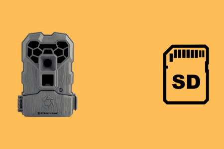 Stealth Cam Not Taking Pictures at Night: How to Fix [2023] - BlinqBlinq