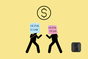 Blink Basic Plan vs Plus: Which is Better? - BlinqBlinq
