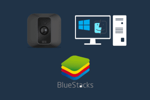 How to Access Blink Camera From PC: This Method Works [2023] - BlinqBlinq
