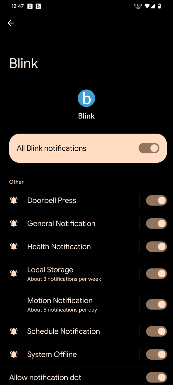 Blink Notifications Not Working: How To Fix [2023] - BlinqBlinq